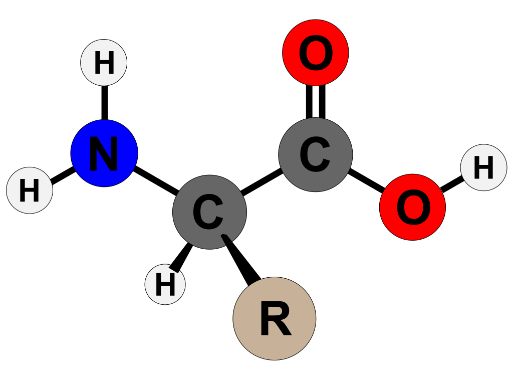 IV Amino Acid – Anti-Aging Medicine Institute in Plano, TX